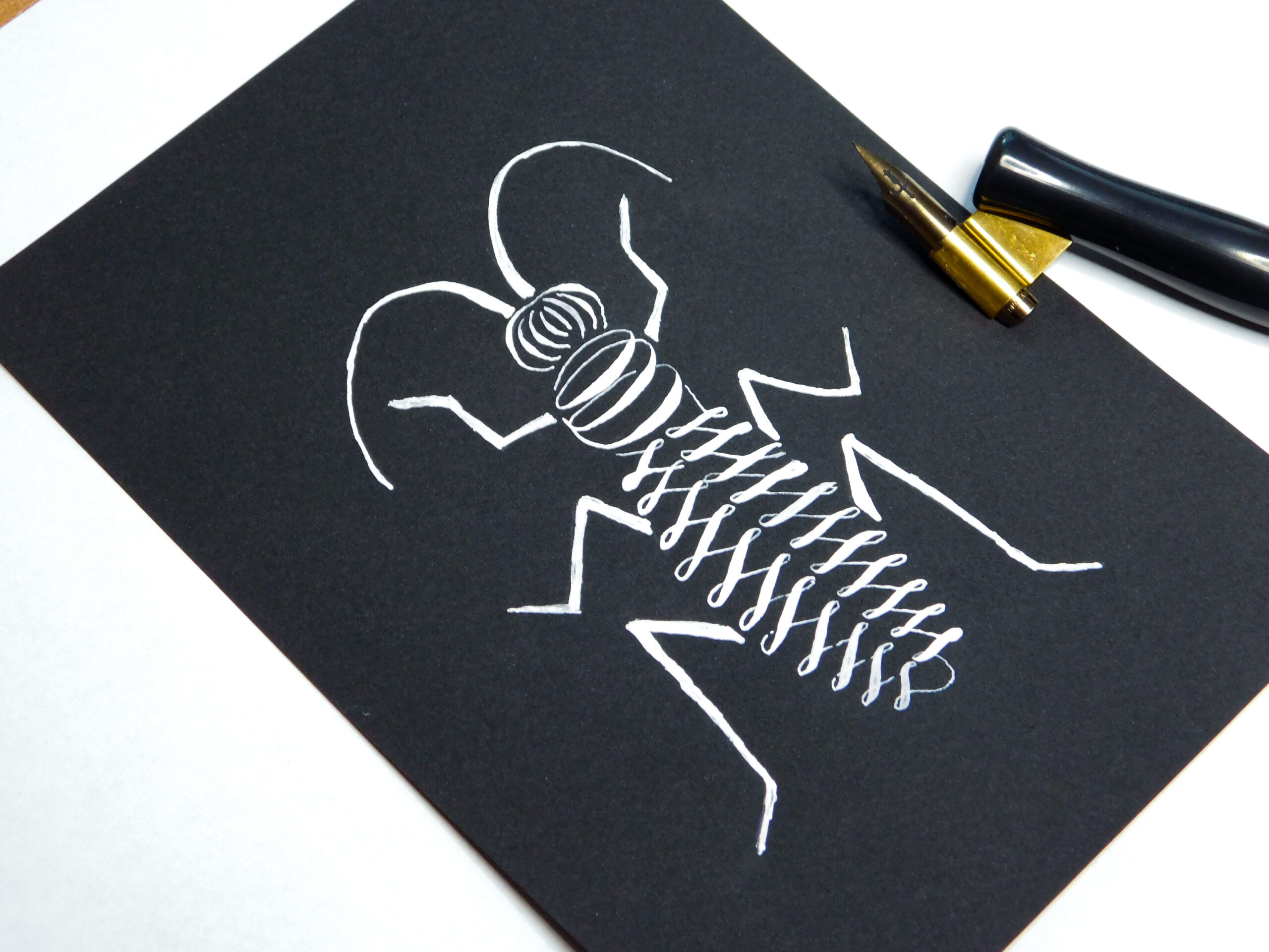 Mi fán terem a Calligraphy drills - Aquarius Kreatív Műhely
